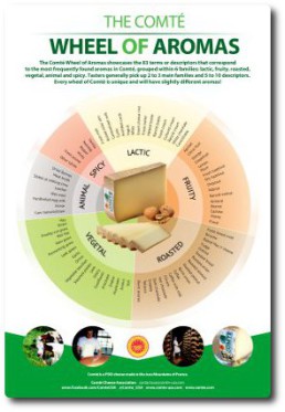 POS Materials | Comte USA