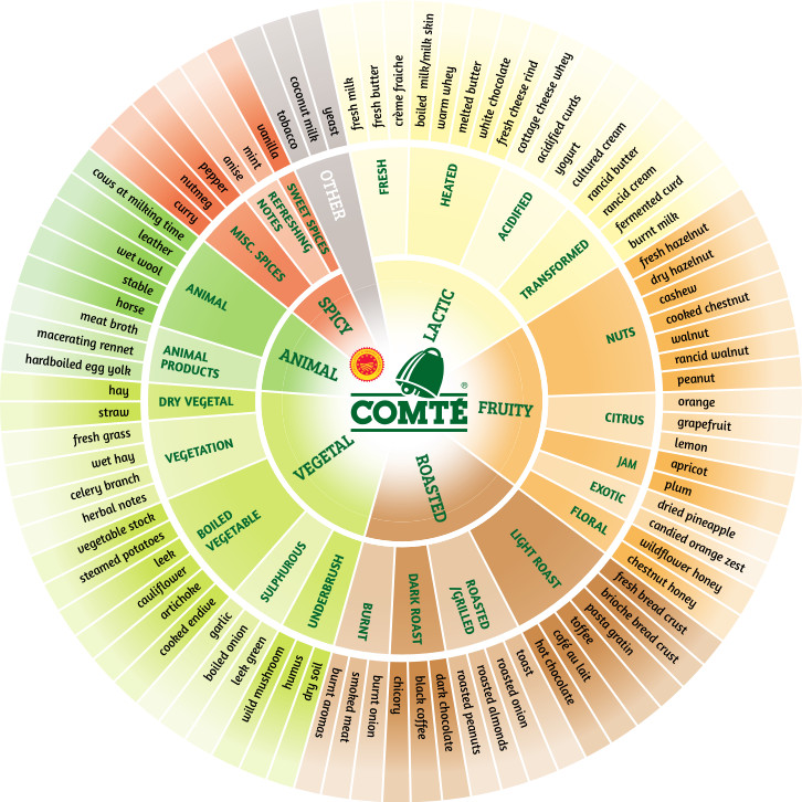 POS Materials | Comte USA